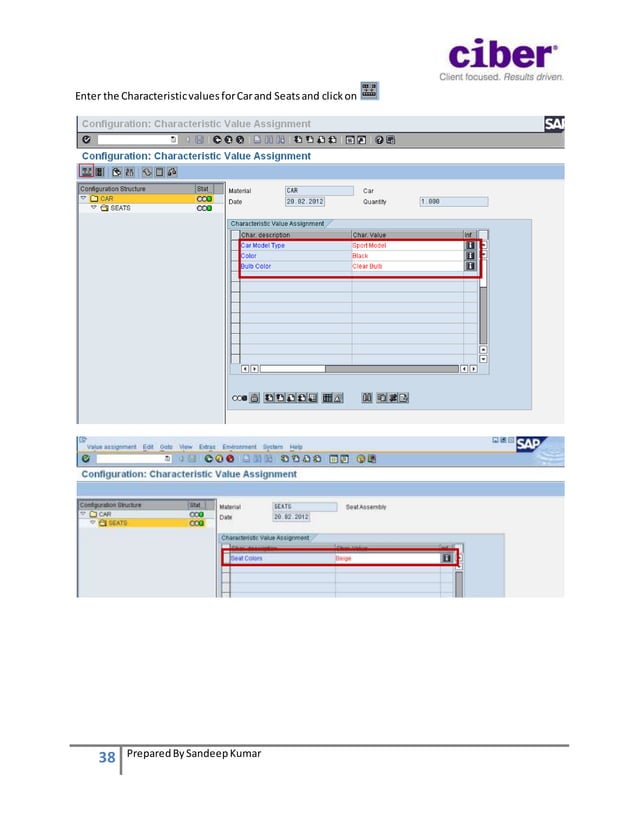 Variant Configuration in SAP PP: Beginner's Guide | PDF