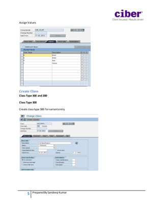 Variant Configuration in SAP PP: Beginner's Guide | PDF