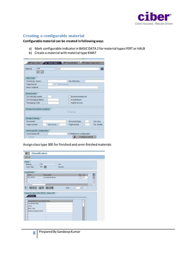 Variant Configuration in SAP PP: Beginner's Guide | PDF