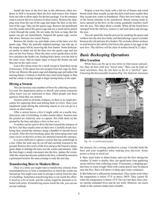 Beginners guide | PDF
