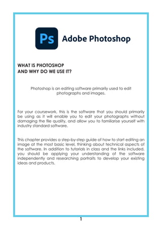 Beginner's Guide to Adobe | PDF