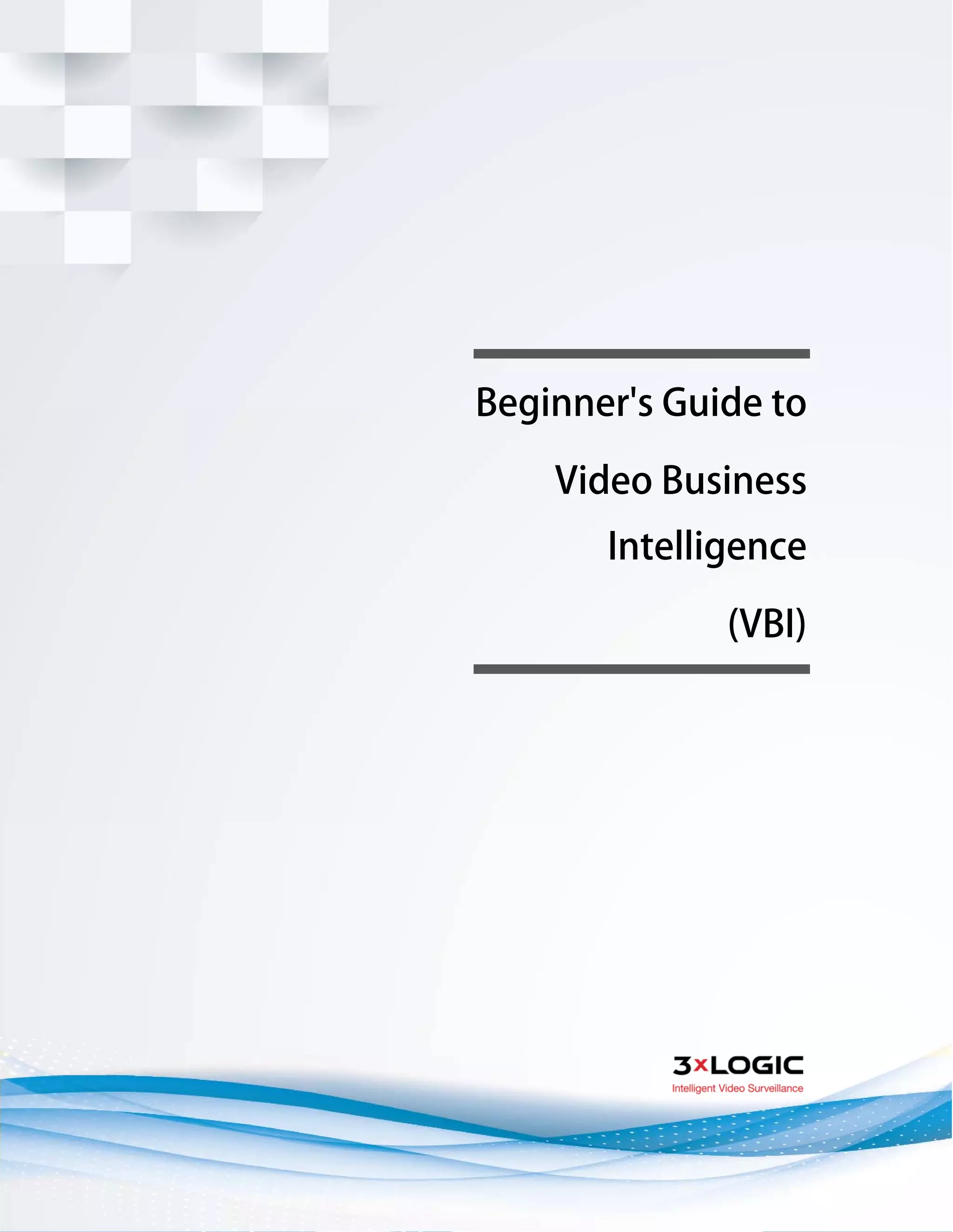 Beginners Guide to VBI | PDF