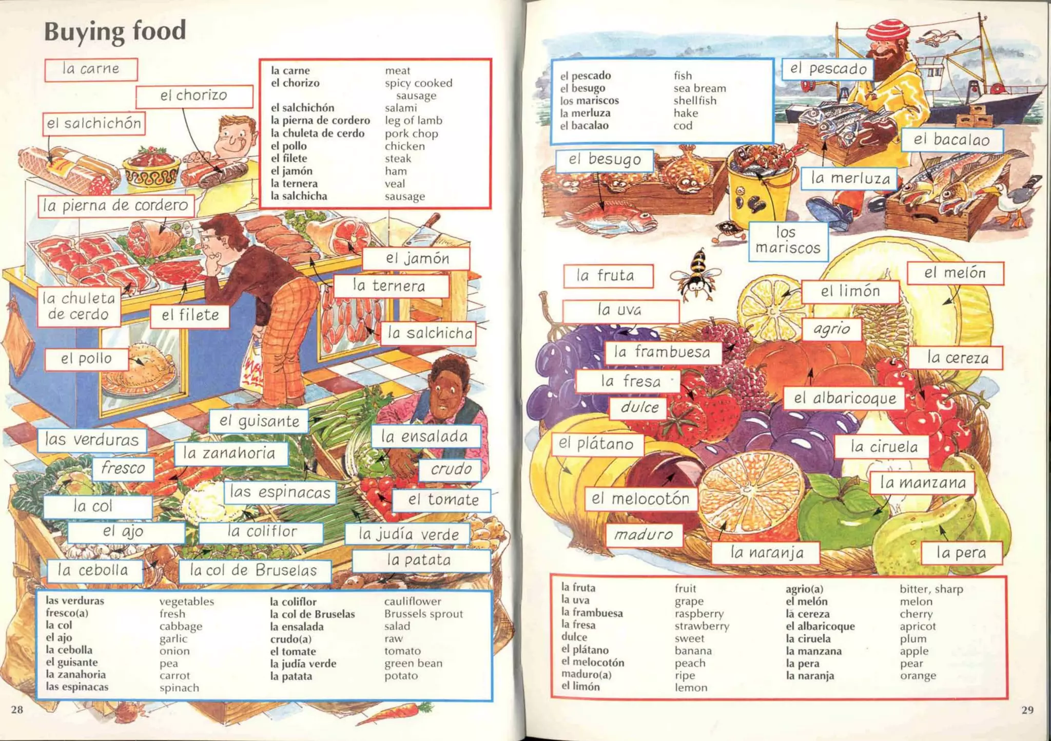 Beginner's spanish dictionary | PDF | Education