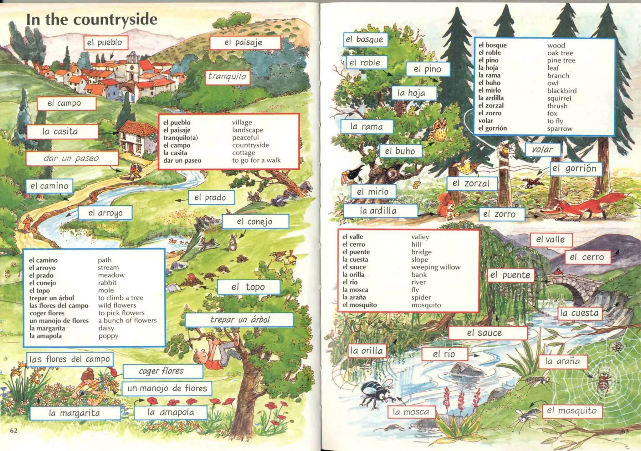 Beginner's spanish dictionary | PDF | Education