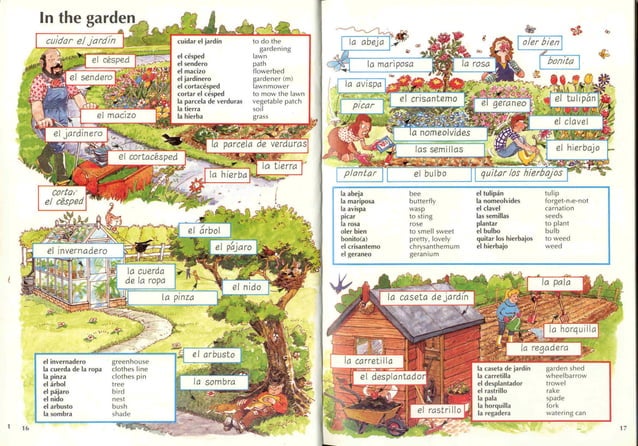 Beginner's spanish dictionary | PDF | Education