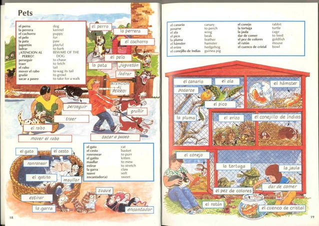 Beginner's spanish dictionary | PDF | Education