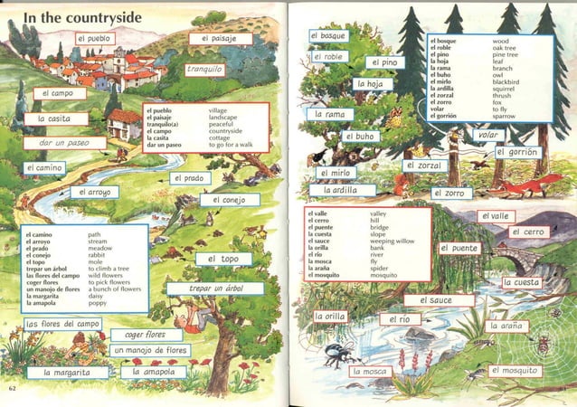 Beginner's spanish dictionary | PDF | Education