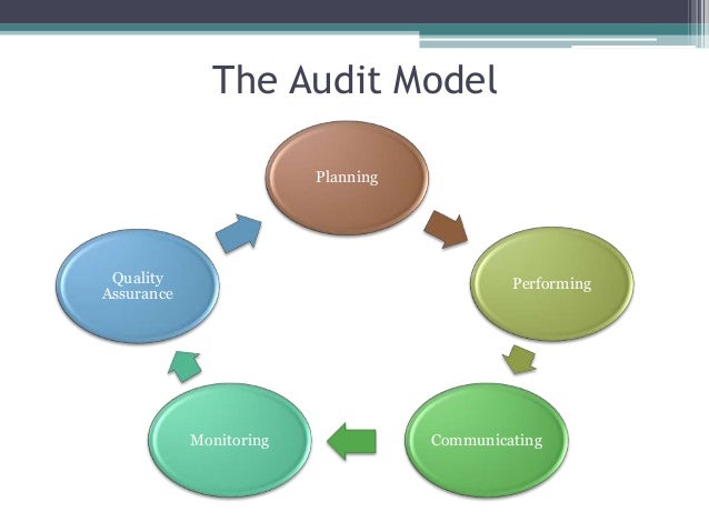 Beginning auditor (1)