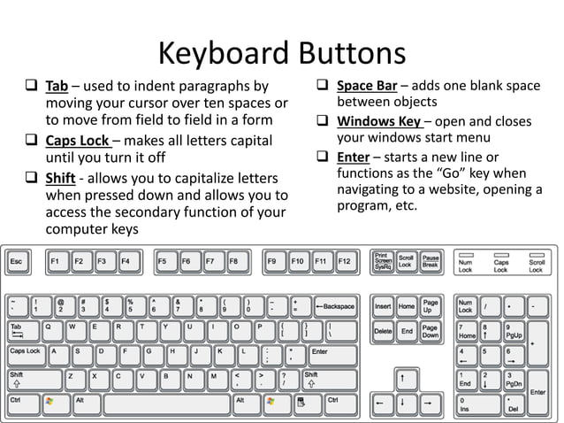 Beginning computer basics | PDF | Operating Systems | Computer Software and Applications