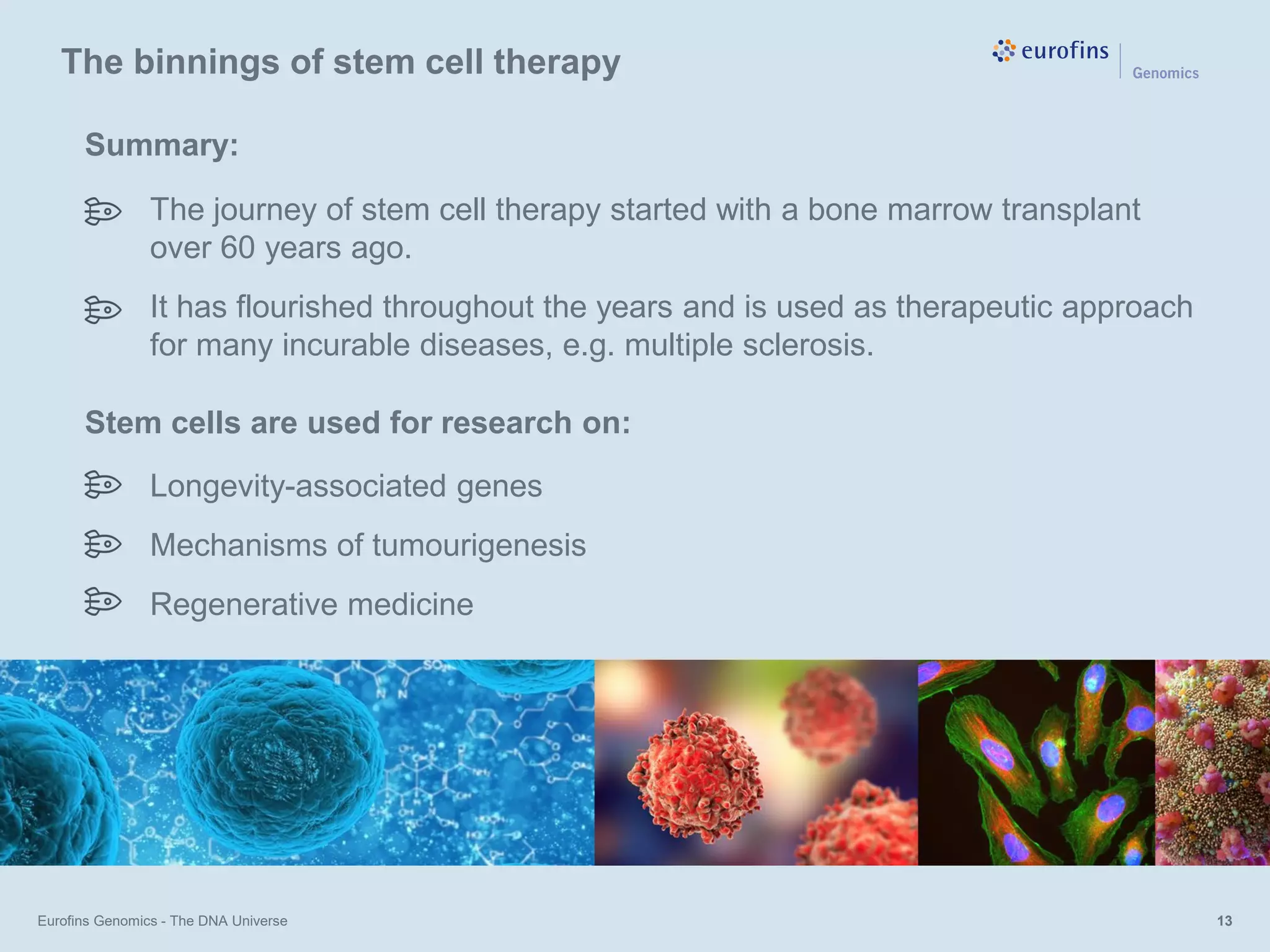Beginnings Of Stem Cell Therapy | PPT