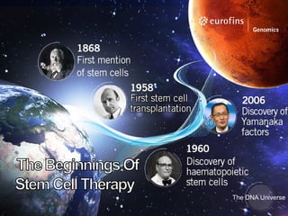 Beginnings Of Stem Cell Therapy | PDF