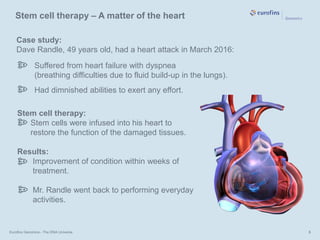 Beginnings Of Stem Cell Therapy | PPT