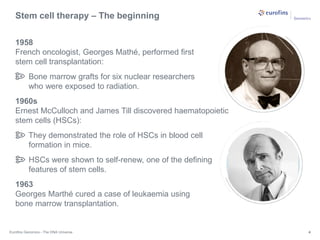 Beginnings Of Stem Cell Therapy | PPT
