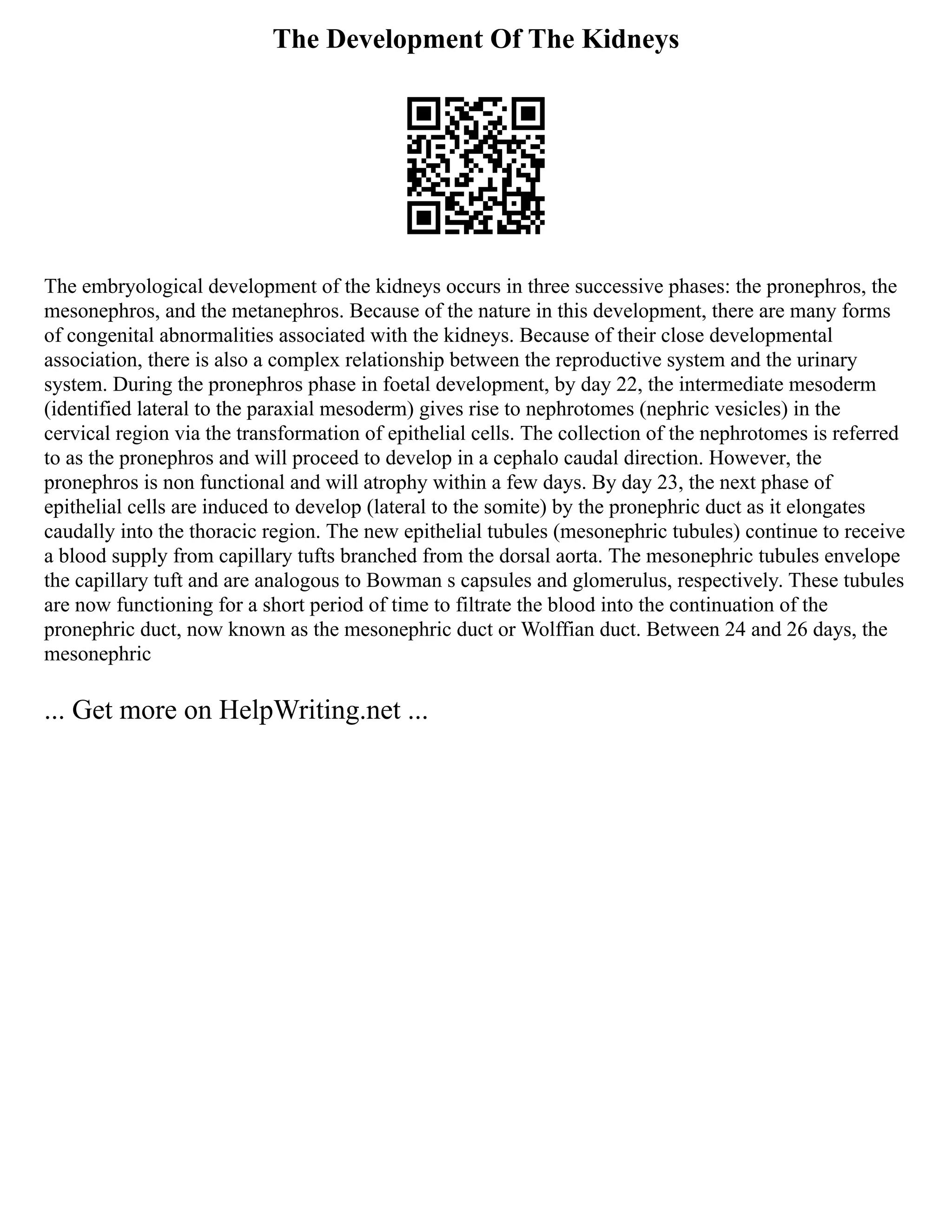 Beginning Writing Paper Freebie Beginning Writing | PDF