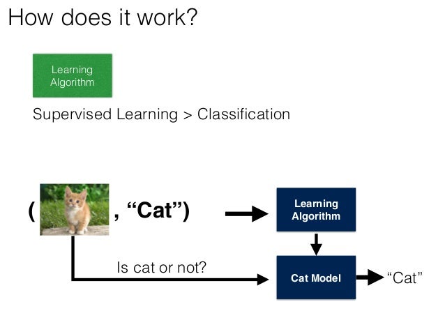 Begin with Machine Learning