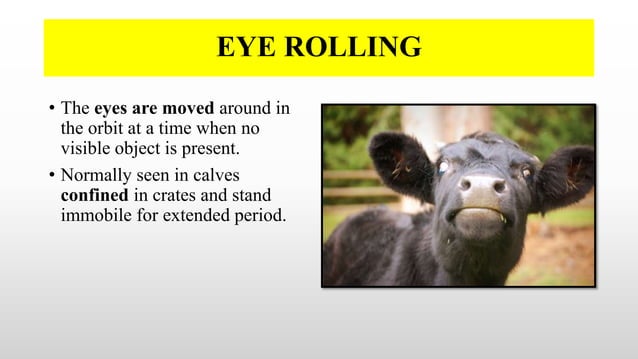 Behaviour abnormalities | PPTX | Equine Sports | Sports