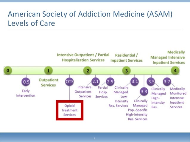 Asam Levels Of Care Training / Six Dimensions Of The Asam Criteria The ...