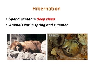 Behavioral adaptation | PPTX | Zoos & Aquariums | Attractions