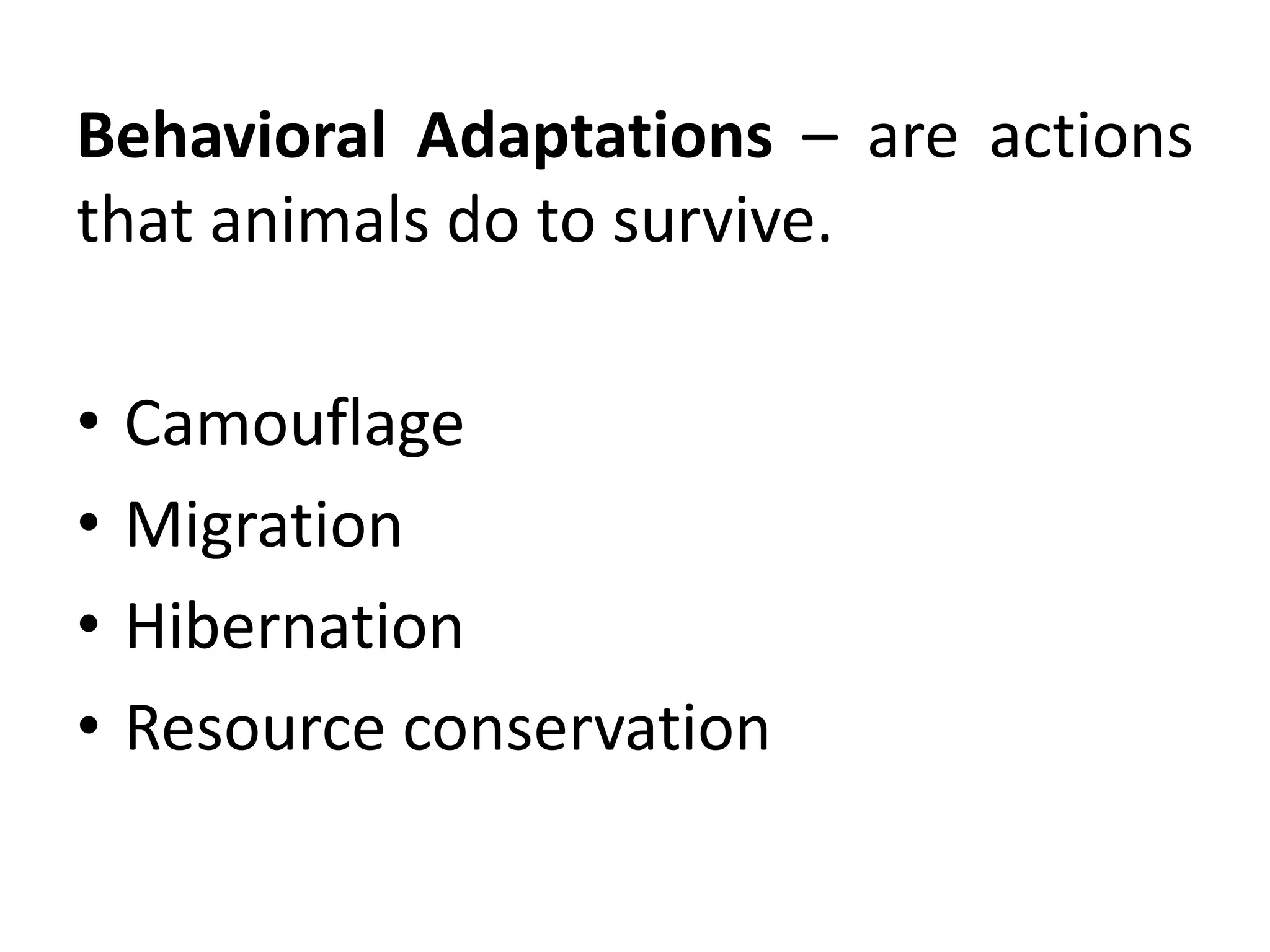 Behavioral adaptations | PPTX