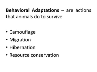 Behavioral adaptations | PPTX