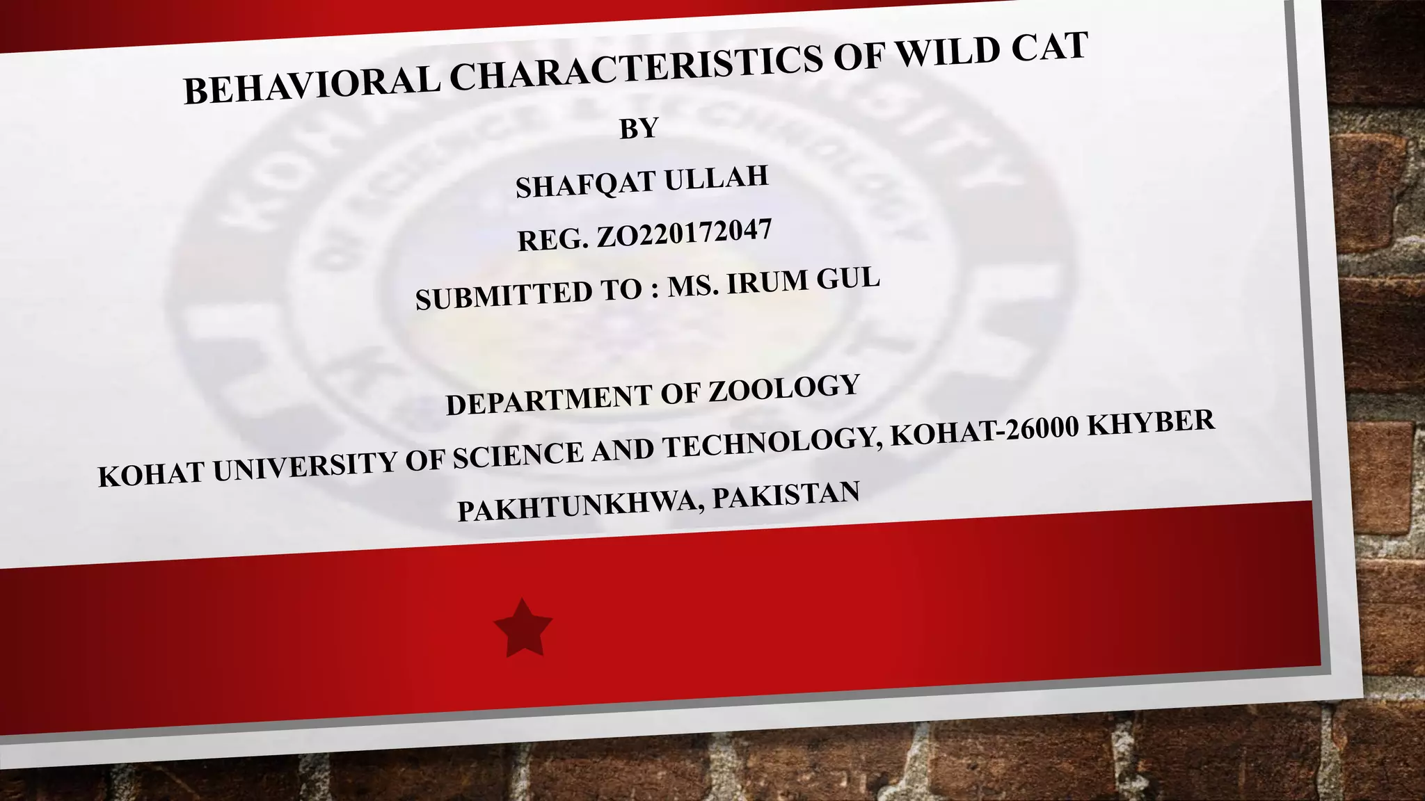 Behavioral characteristics of wild cat | PPTX