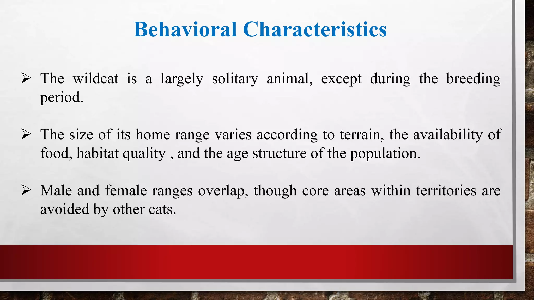 Behavioral characteristics of wild cat | PPTX