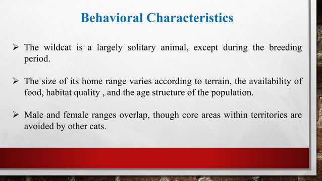 Behavioral characteristics of wild cat | PPT