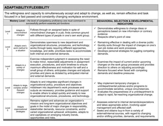 Behavioral Competency Dictionary.pdf (tham khao) | PDF