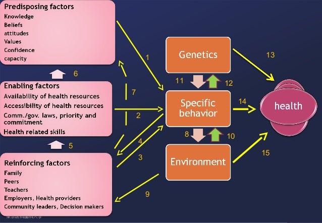 Behavioral Determinant