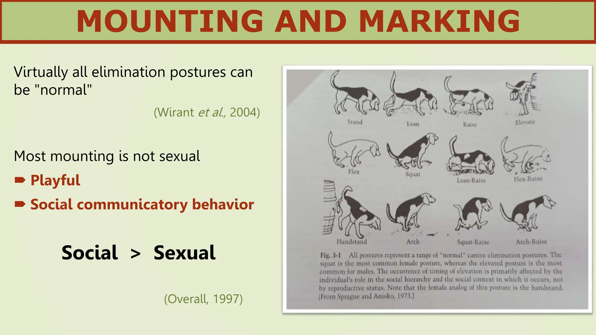 BEHAVIORAL DISORDER IN CANINE (HIMANI SHARMA).pptx