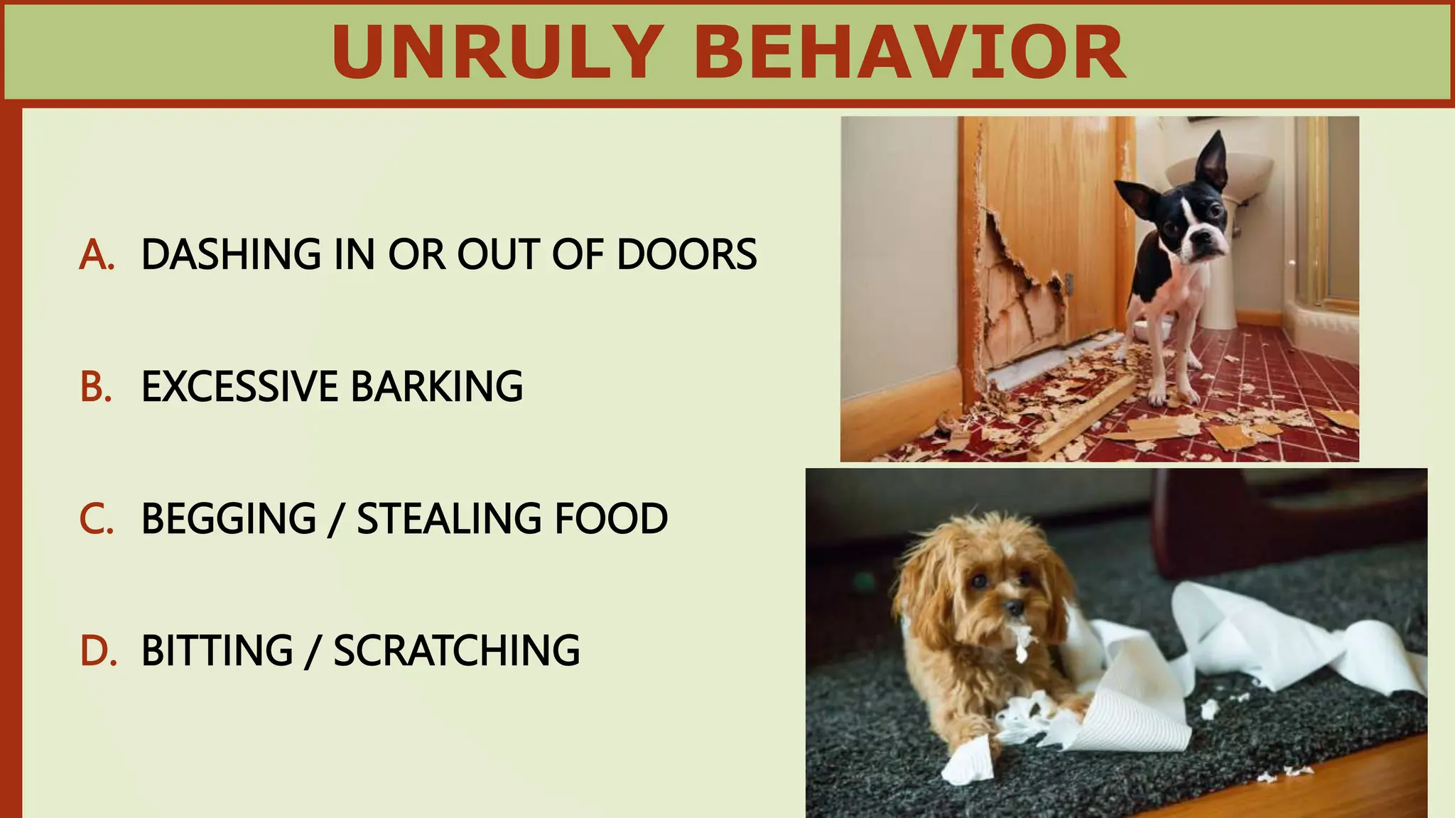 BEHAVIORAL DISORDER IN CANINE (HIMANI SHARMA).pptx