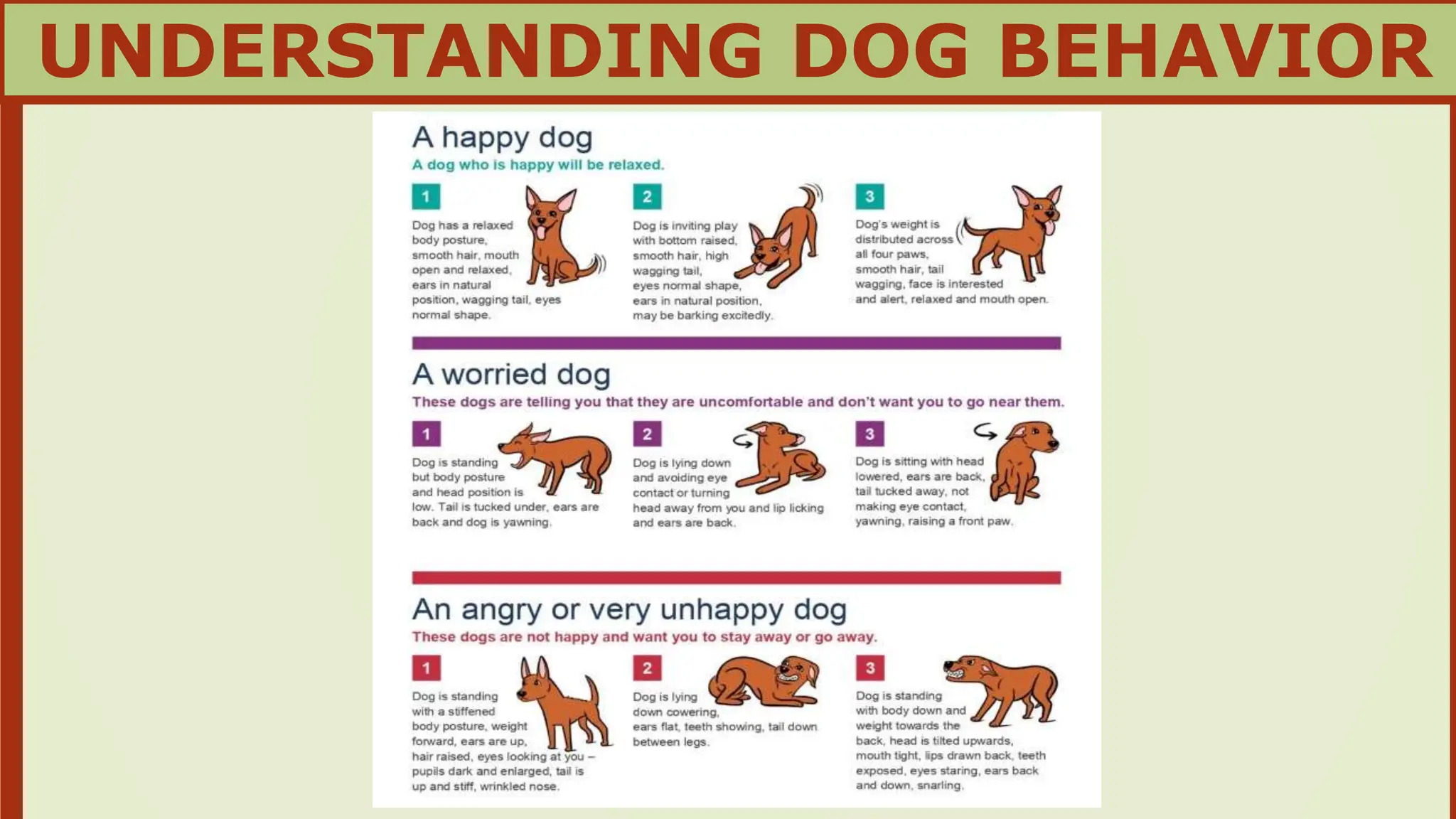 BEHAVIORAL DISORDER IN CANINE (HIMANI SHARMA).pptx