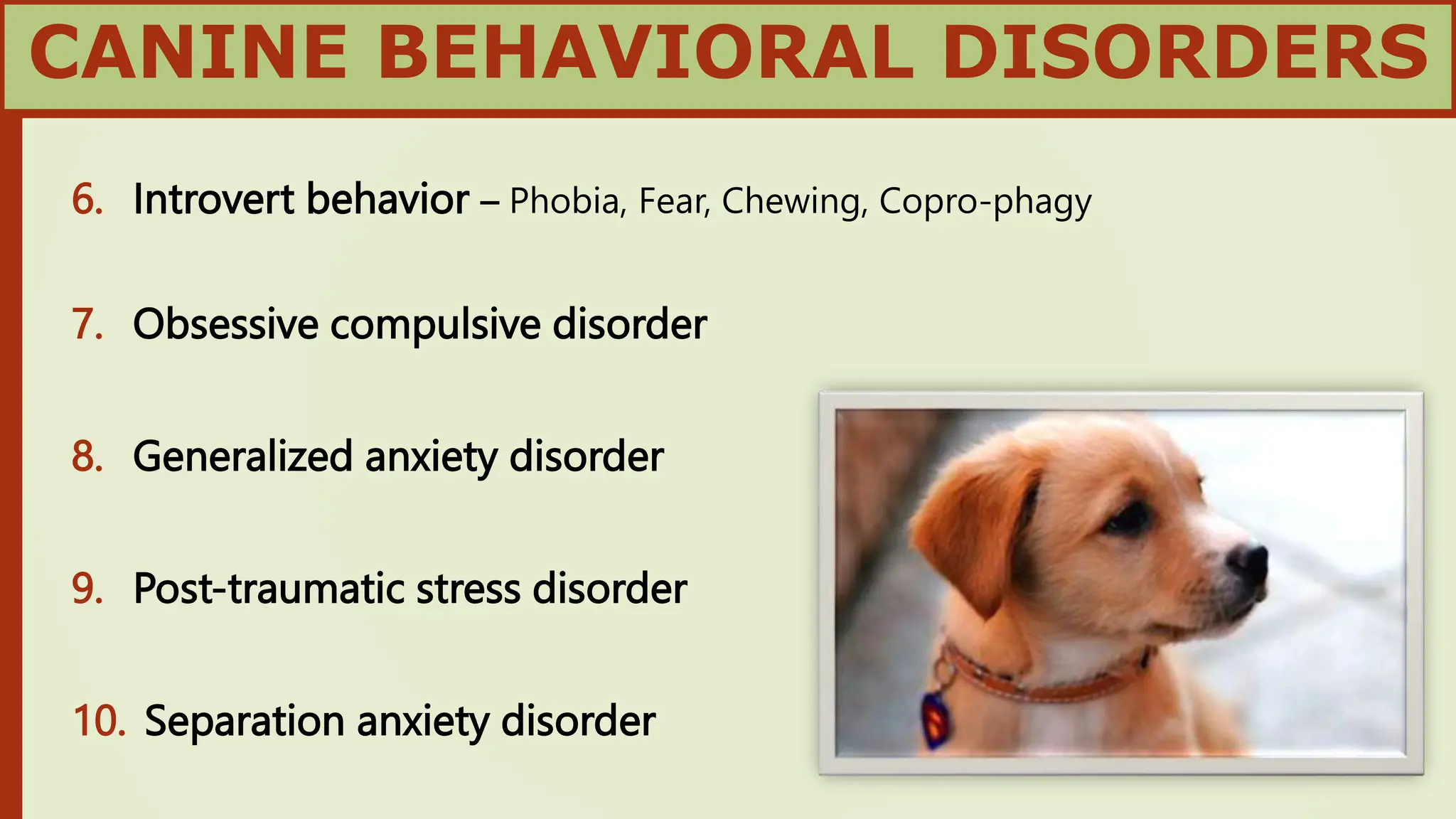 BEHAVIORAL DISORDER IN CANINE (HIMANI SHARMA).pptx