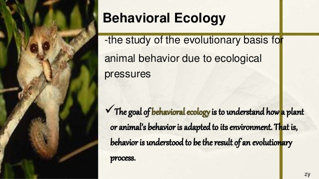Behavioral Ecology