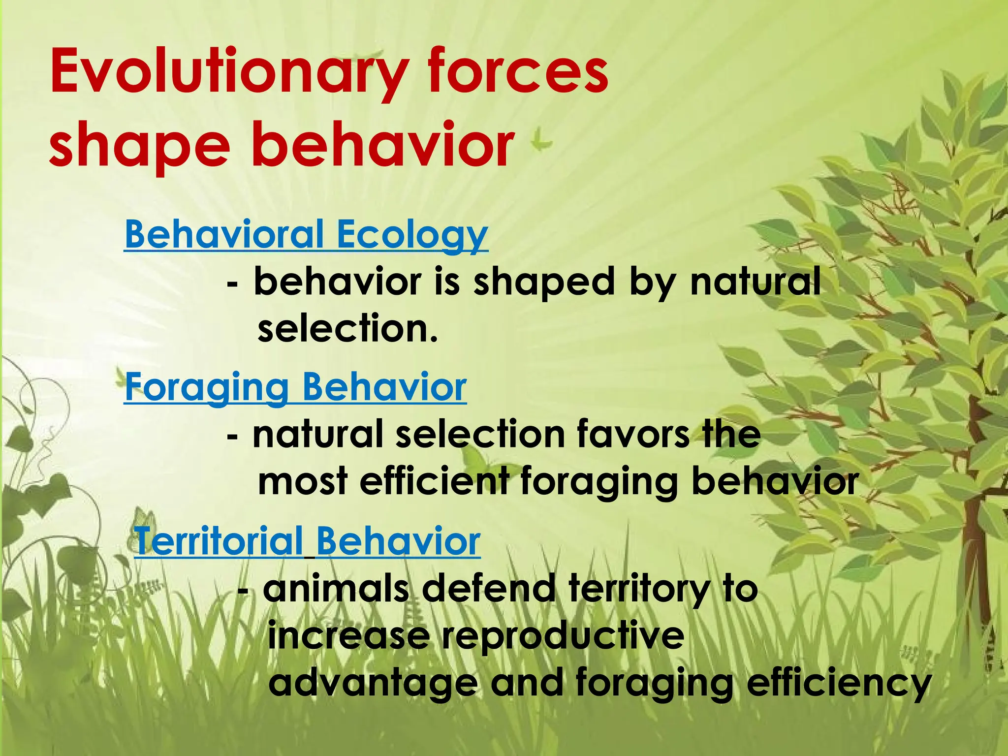Behavioral ecology.pptx The Mating System | PPTX