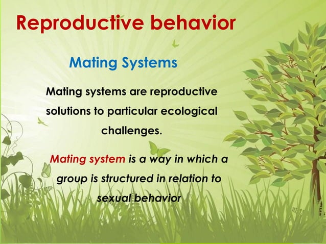 Behavioral ecology.pptx The Mating System | PPTX