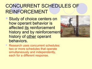 Behavioral economics | PPT