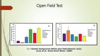 Behavioral phenotyping of mouse models of neurodegeneration | PPTX