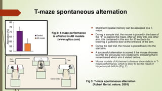 Behavioral phenotyping of mouse models of neurodegeneration | PPTX