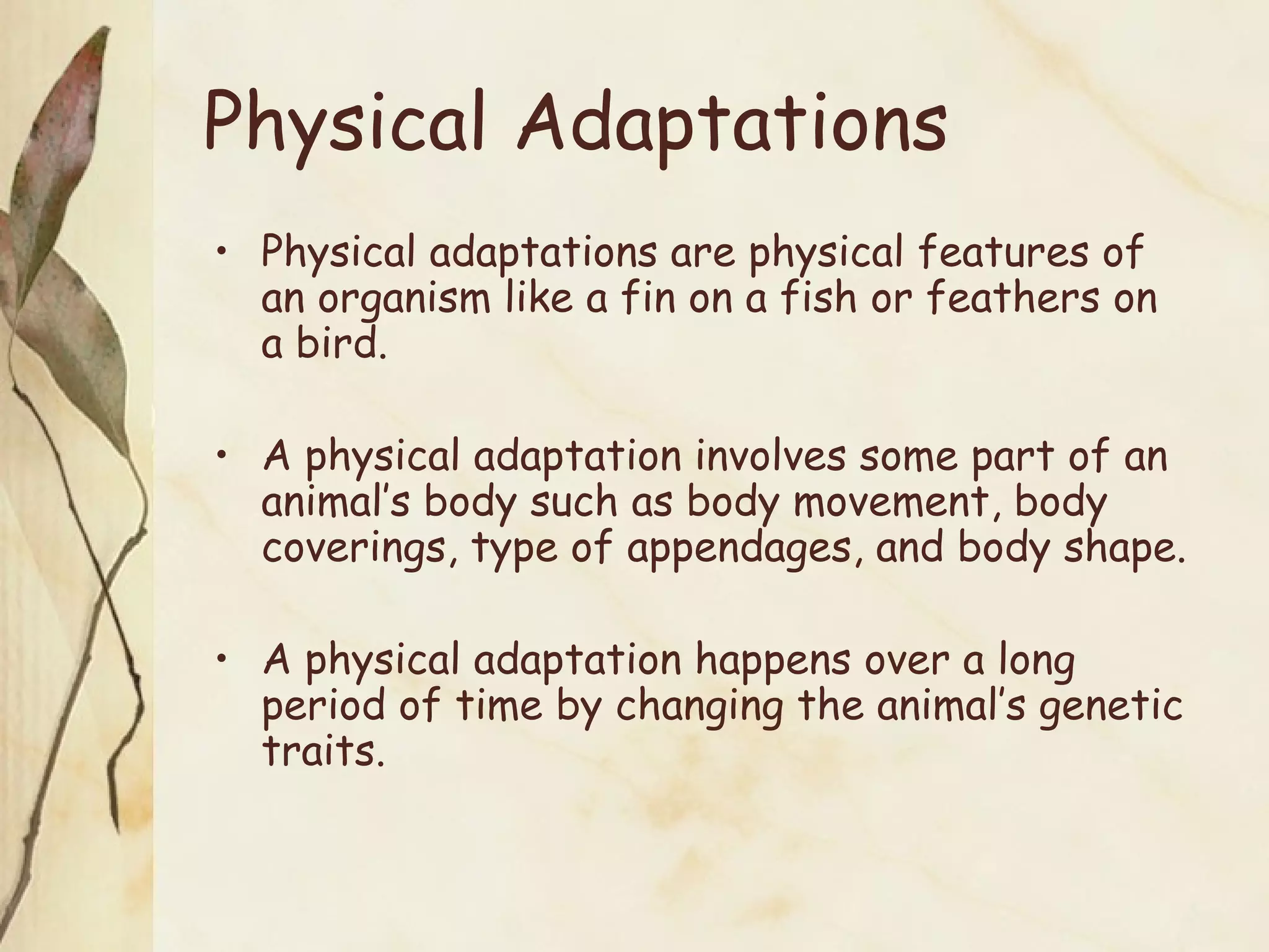 Behavioral & physical adaptations | PPT