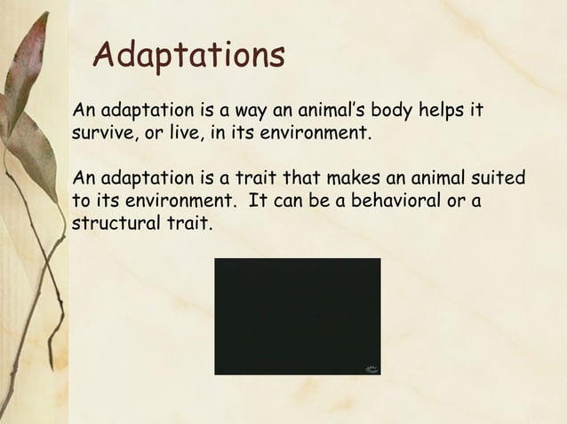 Behavioral & physical adaptations | PPT | Reptiles | Pets