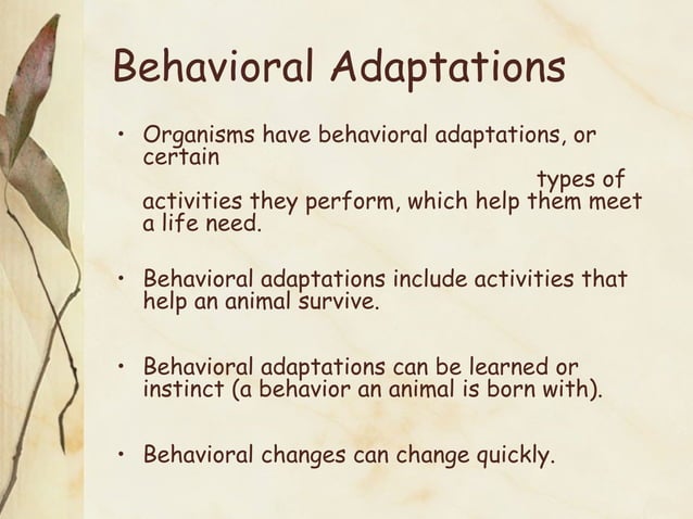 Behavioral & physical adaptations | PPT | Reptiles | Pets