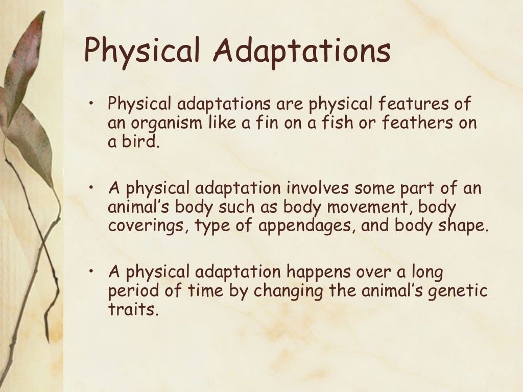 Behavioral & physical adaptations