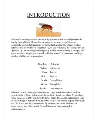 MSC MINI PROJECTBEHAVIORAL STUDY original.pdf