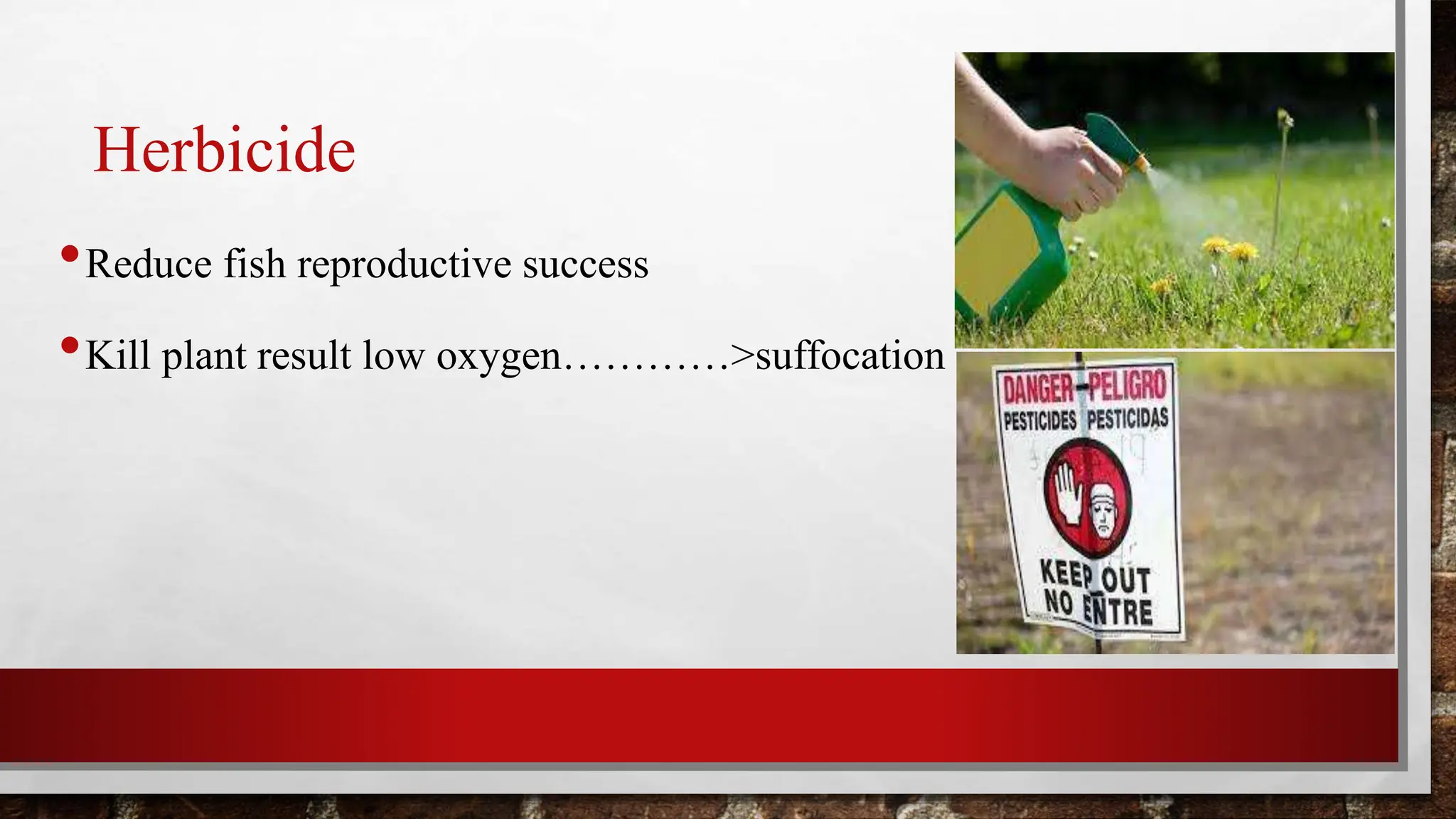 behavioral toxicity MSc.pptx