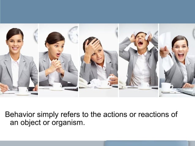 behavioral training for employees | PDF