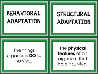 Behavioral vs Physical Cards.1.pdf