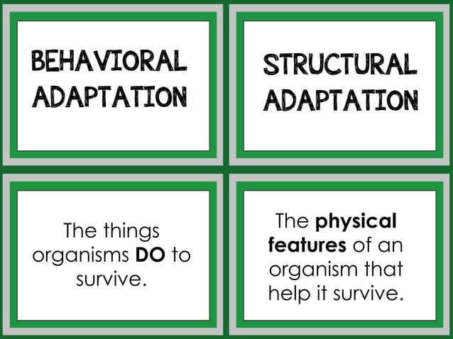 Behavioral vs Physical Cards.1.pdf