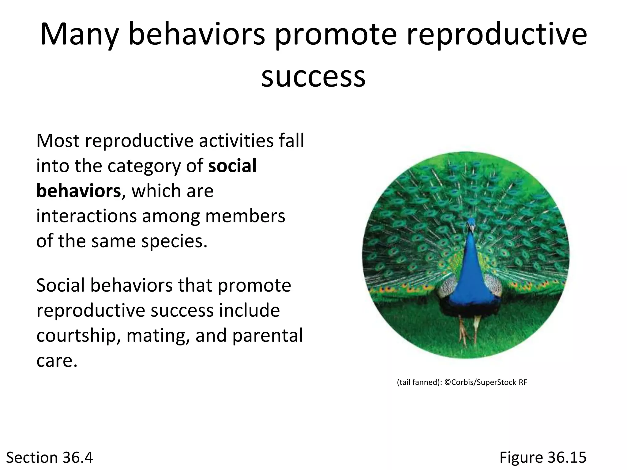Behavior blank pt 1 of 2 | PPT | Genetics | Science