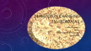 Animal behavior in changing environment | PPTX